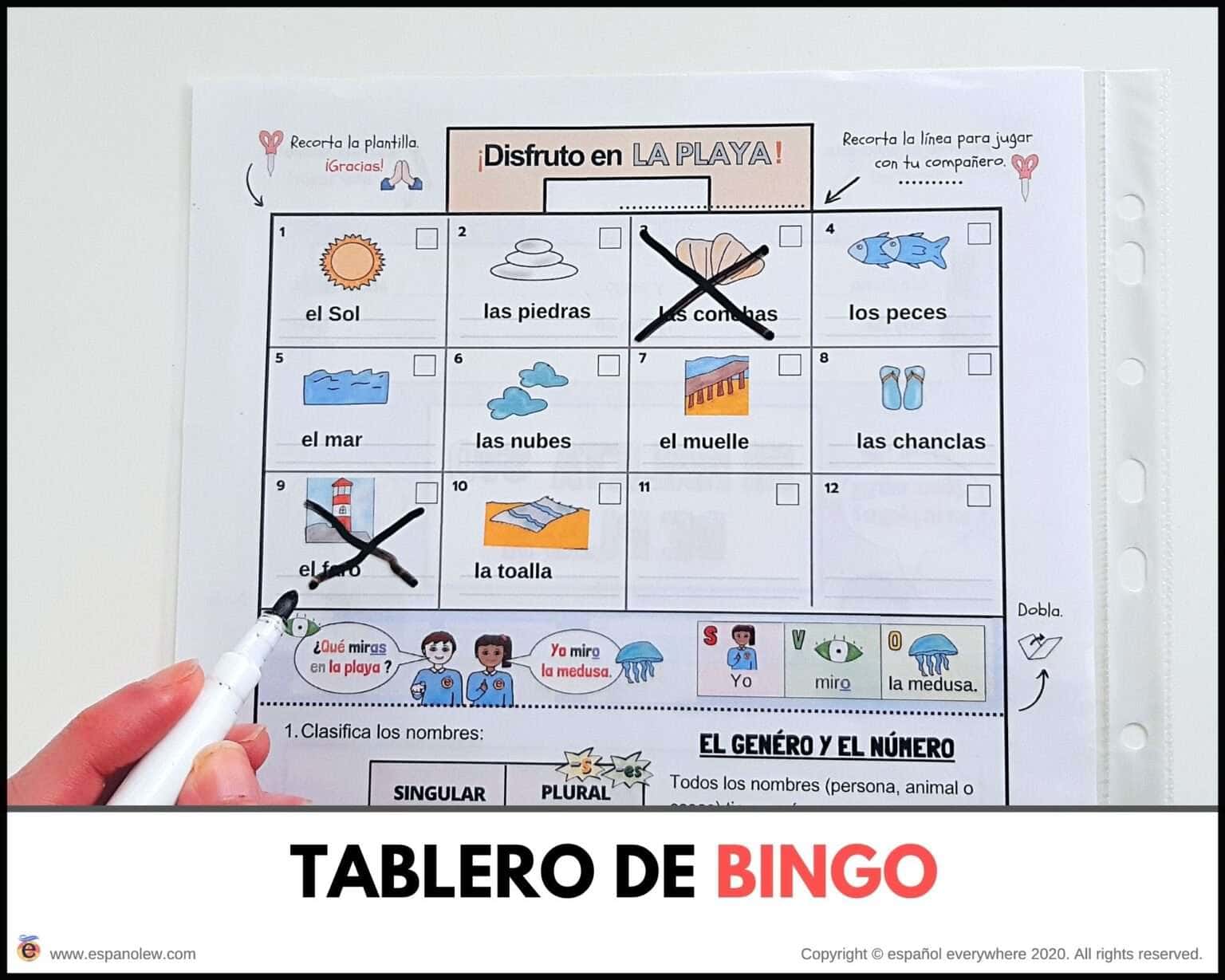 💻 KIT DE PLAYA- Vocabulario, concordancia género y número, oraciones ...