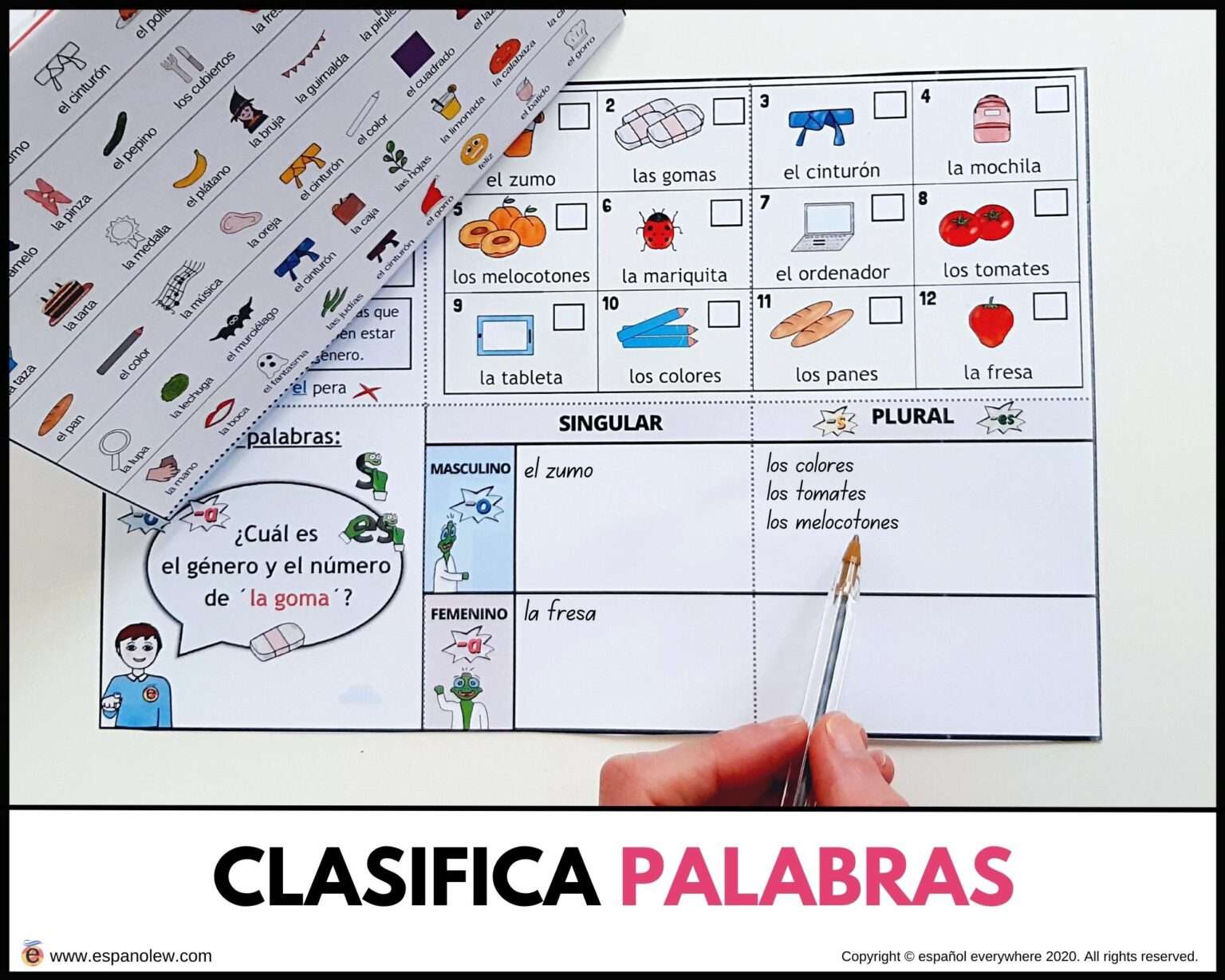 | 🌈Concordancia de sustantivos. Números, vocabulario y colores.