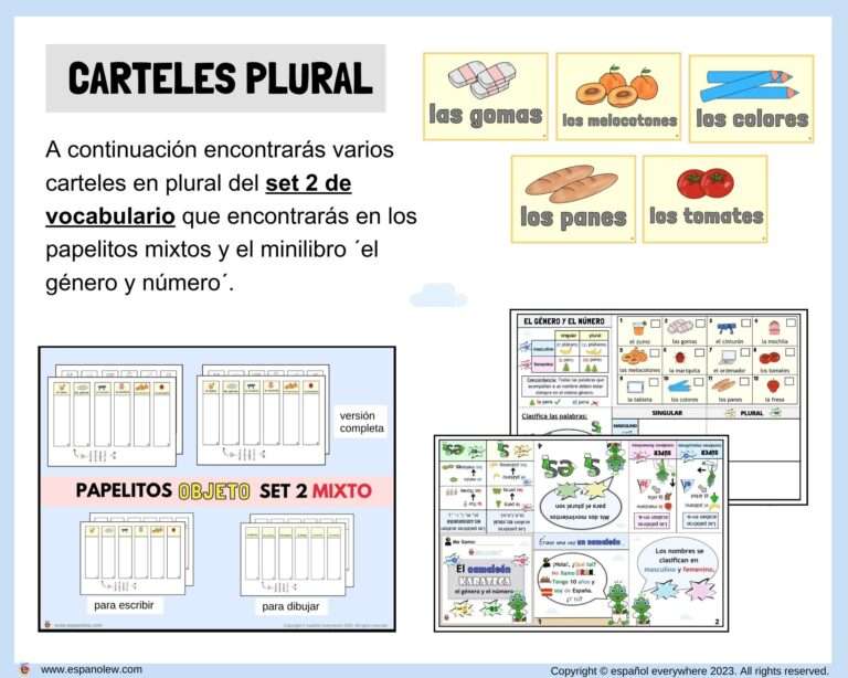 Concordancia género y número. Actividades, jugos y recursos didácticos.