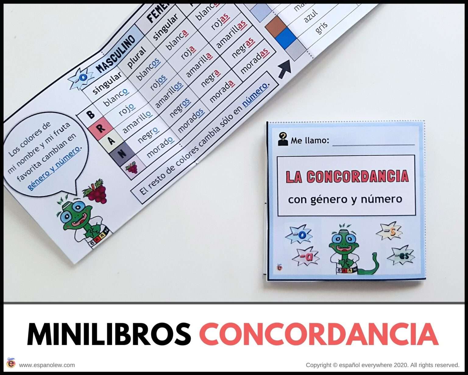 | 🌈Concordancia de sustantivos. Números, vocabulario y colores.