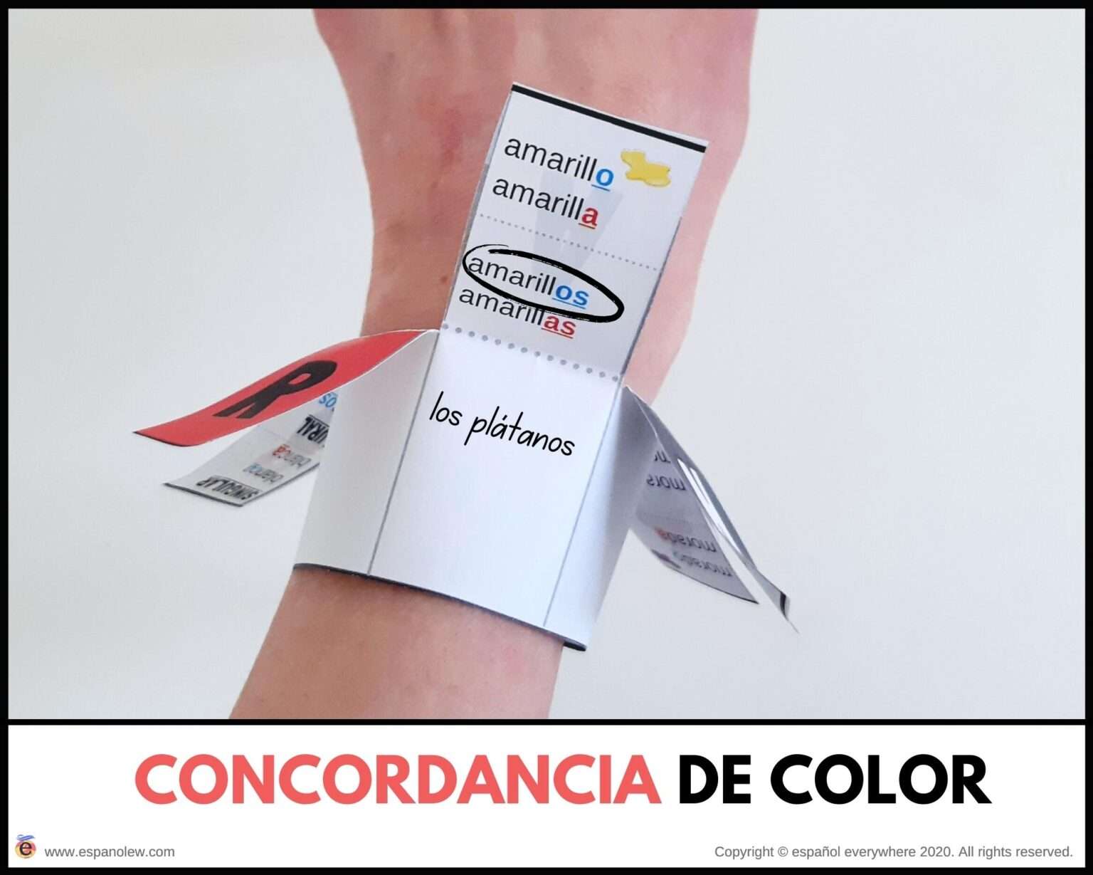 | 🌈Concordancia de sustantivos. Números, vocabulario y colores.