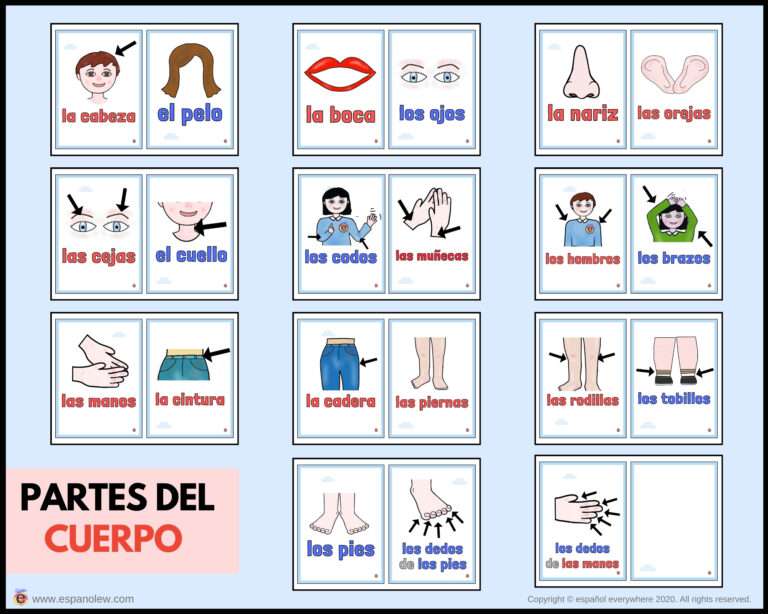 Vocabulario las partes del cuerpo. Actividades para las primeras ...