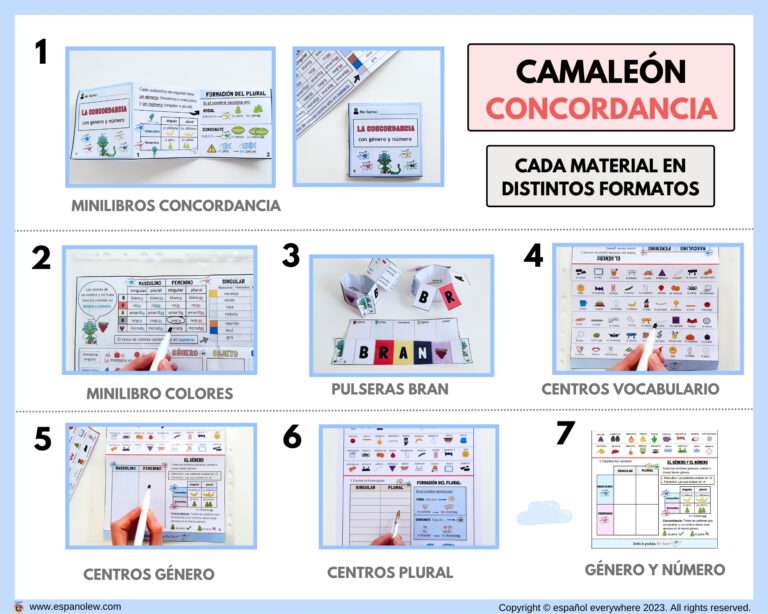| 🌈Concordancia de sustantivos. Números, vocabulario y colores.