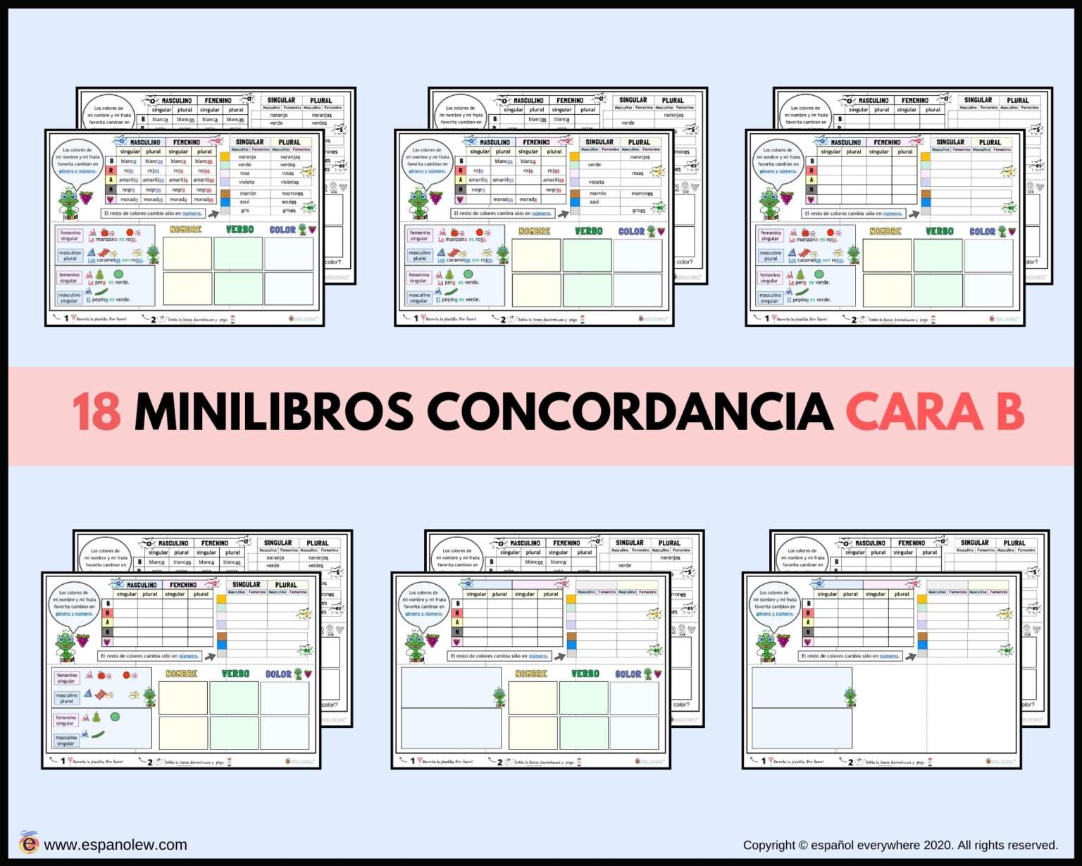 Concordancia género y número con sustanticos. Género de sustantivos ...